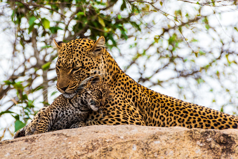 Home Hiking - Korongo Expeditions